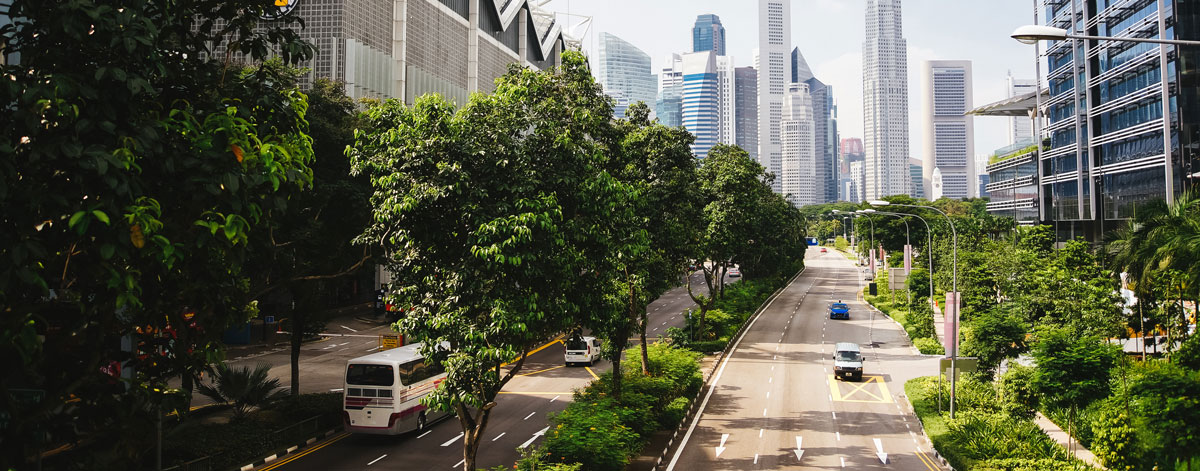 Our Services - Urban Pulse